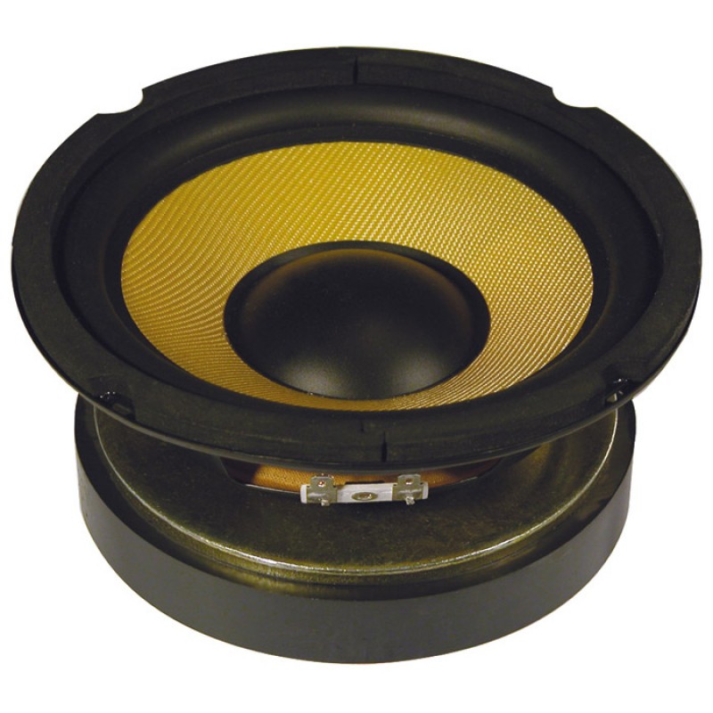Wide Range Kevlar 20cm 250W RMS - EGO Technologies